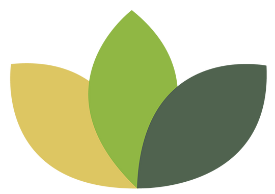 Update Test – Treeborn